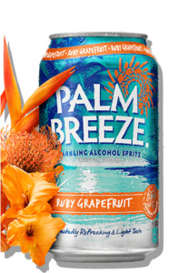 Palm Breeze Ruby Red Citrus - 24/12OZ CANS - Beverages2u